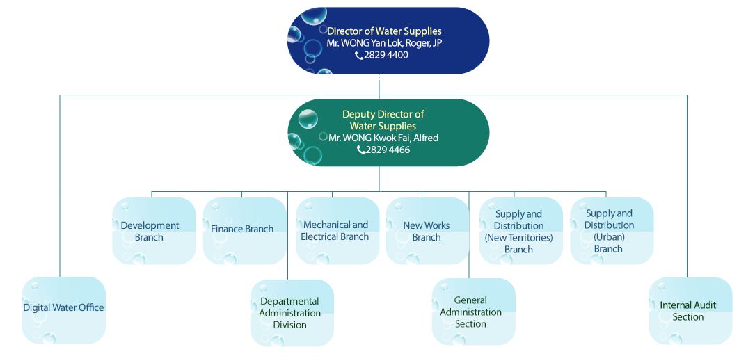WSD - Organisation Chart
