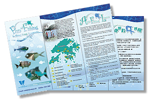 WSD - Fun of Fishing