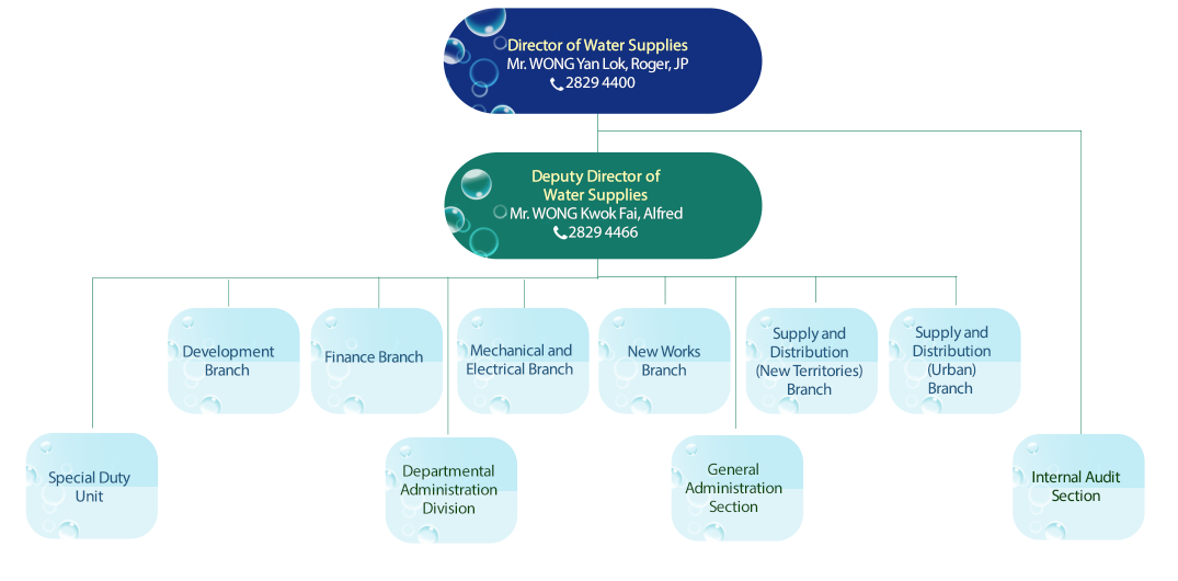 WSD - Organisation Chart