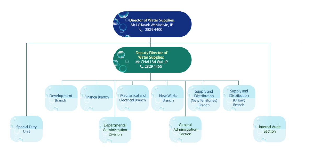 WSD - Organisation Chart
