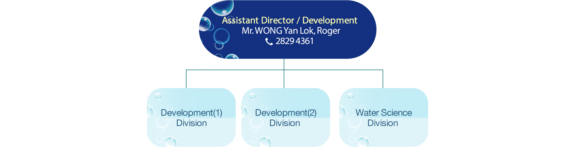 WSD - Organisation of Development Branch